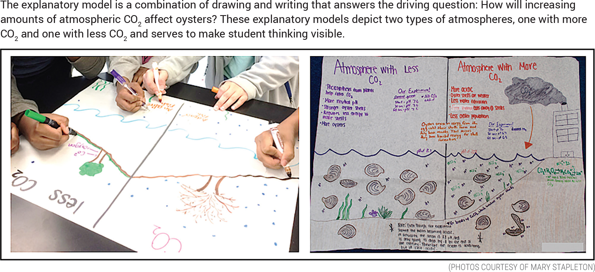 How Does Climate Change Affect Oyster Populations? | NSTA
