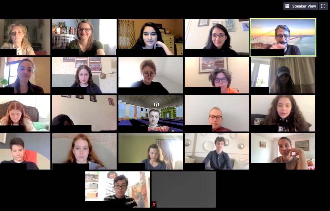 MindHive: An Online Citizen Science Tool and Curriculum for Human Brain ...