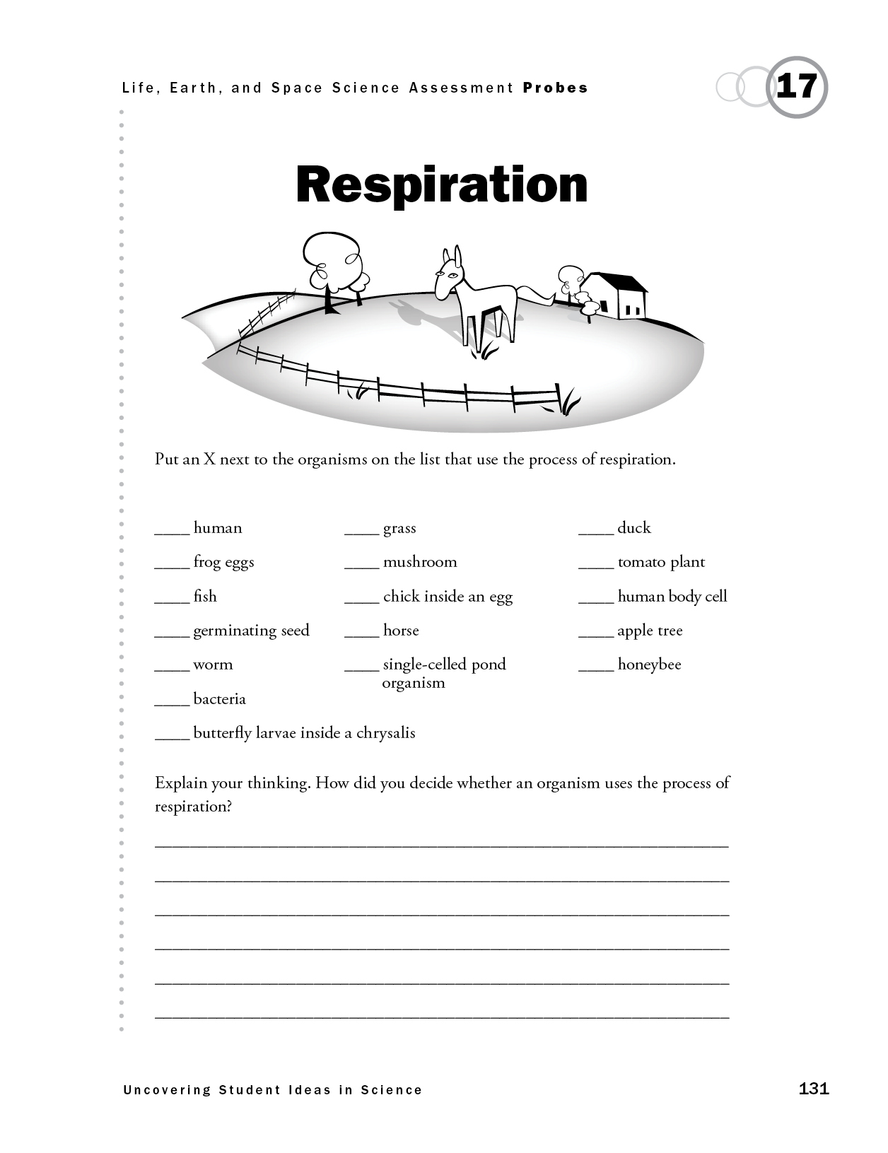 Respiration NSTA