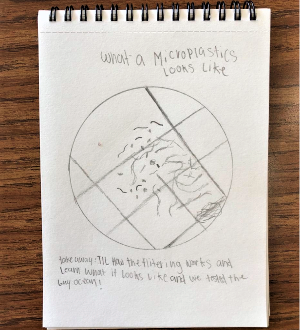 Monitoring Microplastics in Surface Water—A Pacing Guide for Grades 5 ...