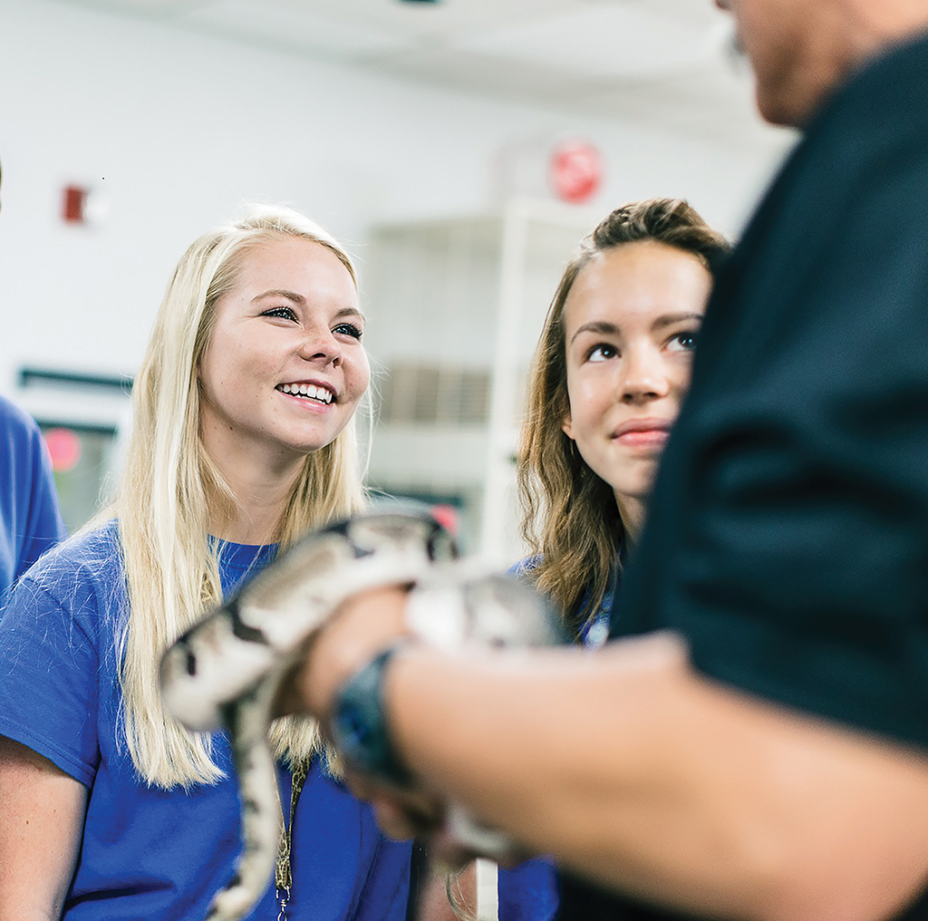 Zoo Academy | NSTA