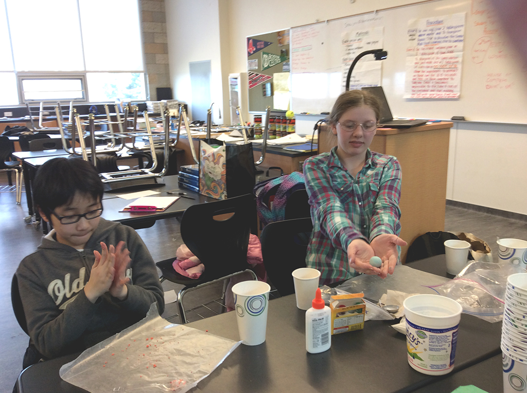 Taking an Ecosystem Approach to STEM Learning | NSTA