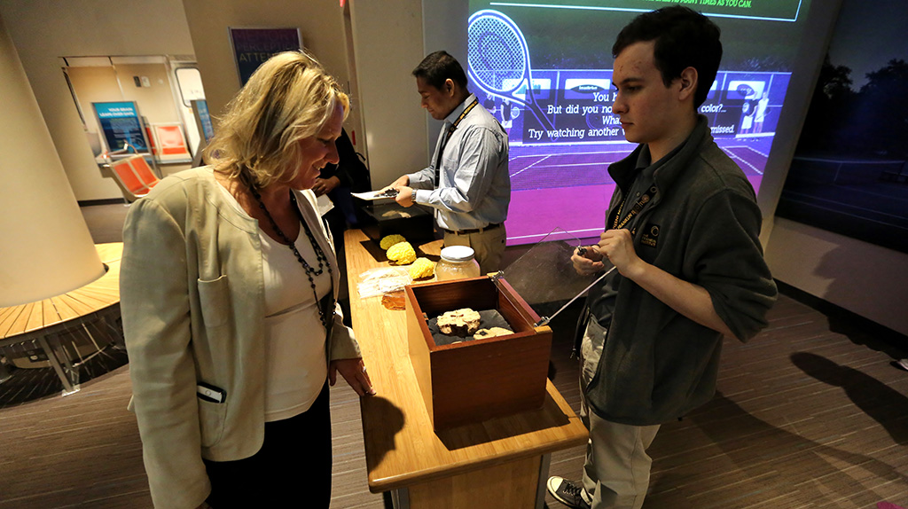 Bridging Neuroscience and Education Through Museum-School Partnerships ...