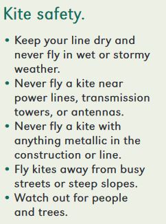 How Do Kites Fly? | NSTA