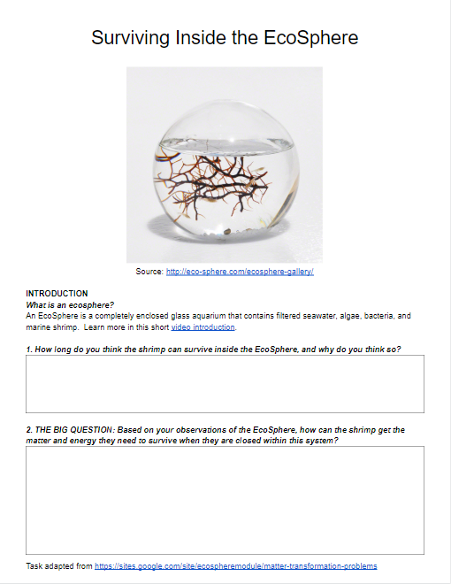 How Do Shrimp Live in a Closed System? | NSTA