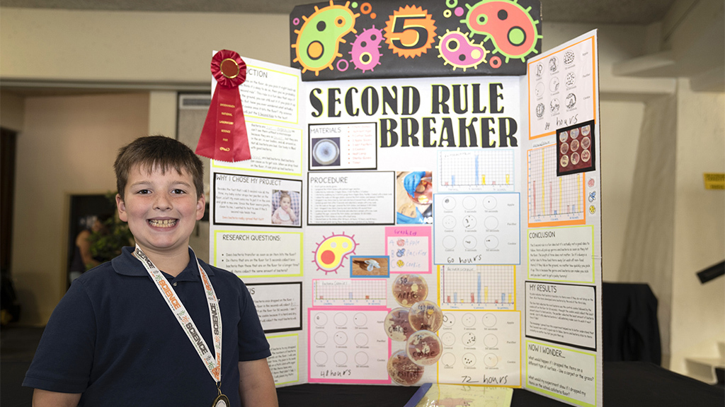 Transition to Virtual Judging for In-Person Elementary School Science ...