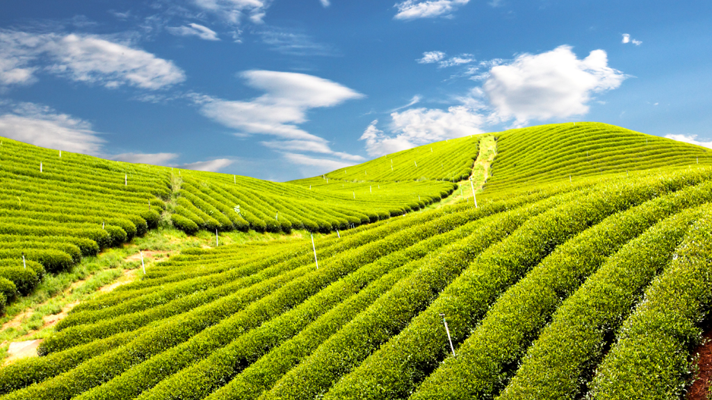 Why Is a Covered Planet a Healthy Planet? | NSTA