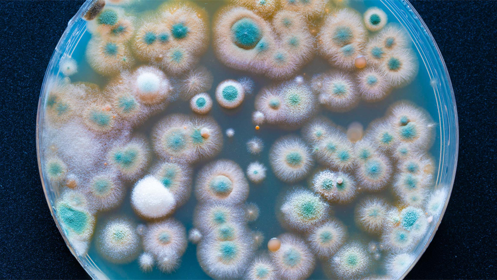 Computational Thinking And Modeling Nsta