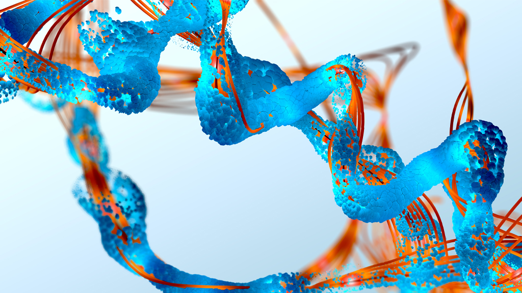 Protein and Muscles | NSTA