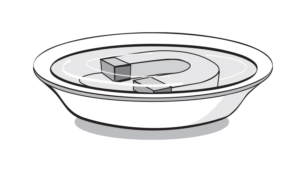 Magnets in Water | NSTA