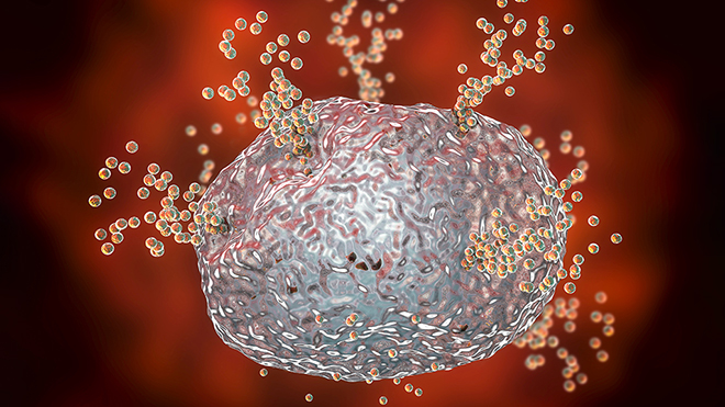 All Case Studies | NSTA