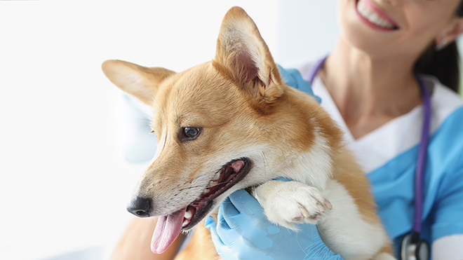 All Case Studies | NSTA