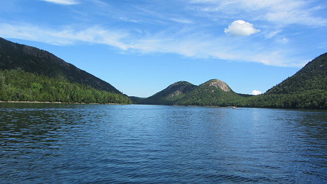 Dead Fish in Bear Pond | NSTA