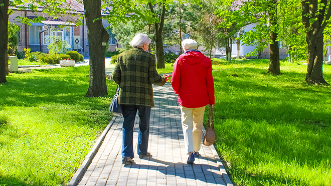 Bones, Stones, Groans and Moans | NSTA