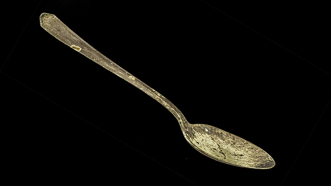 The Dutch Hunger Winter | NSTA