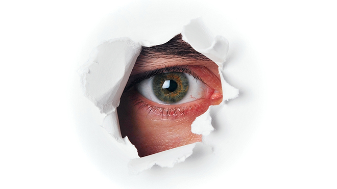 Do You See What Eye See? | NSTA