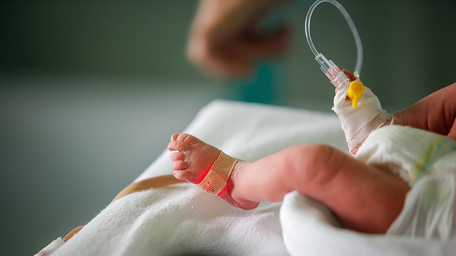 Going with the Flow | NSTA