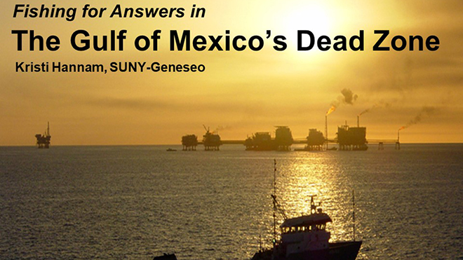 Fishing for Answers in the Gulf of Mexico's Dead Zone | NSTA