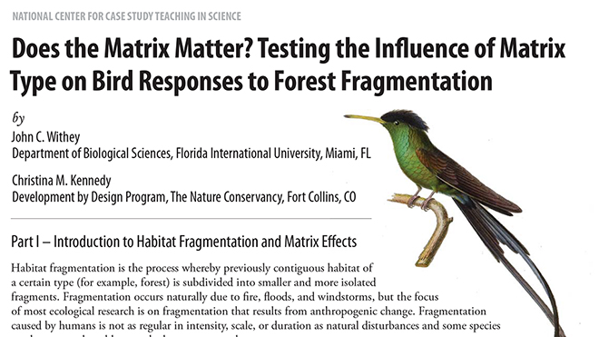 Does the Matrix Matter? | NSTA