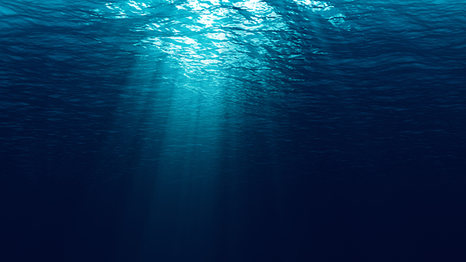 An Investigation into Ocean Acidification | NSTA