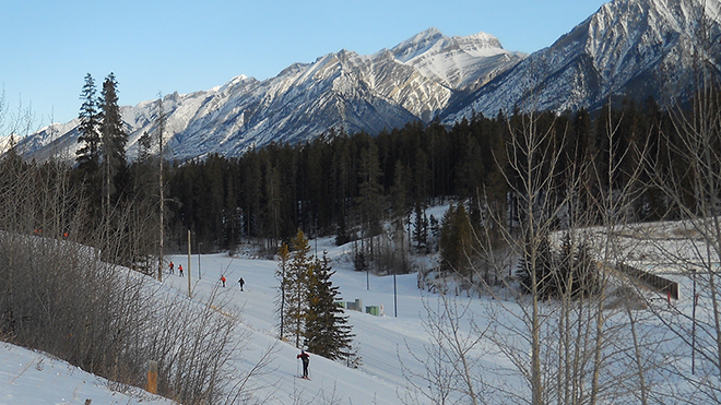 Double Black Diamond Slopes | NSTA