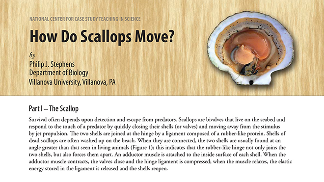 How Do Scallops Move? | NSTA