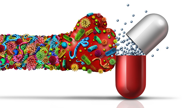 The Fight Against Bacteria | NSTA