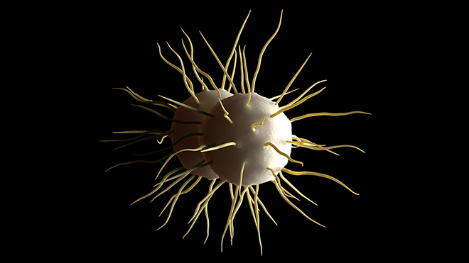 Sexually Transmitted Infections | NSTA