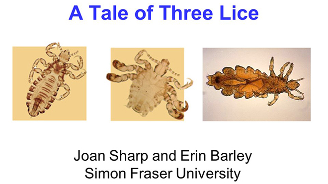A Tale of Three Lice | NSTA